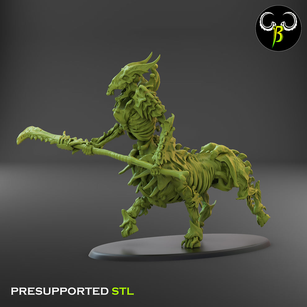 CB Marrow Knights - Undead Centaur Skeleton -Lance - Walk – Resin Reborne